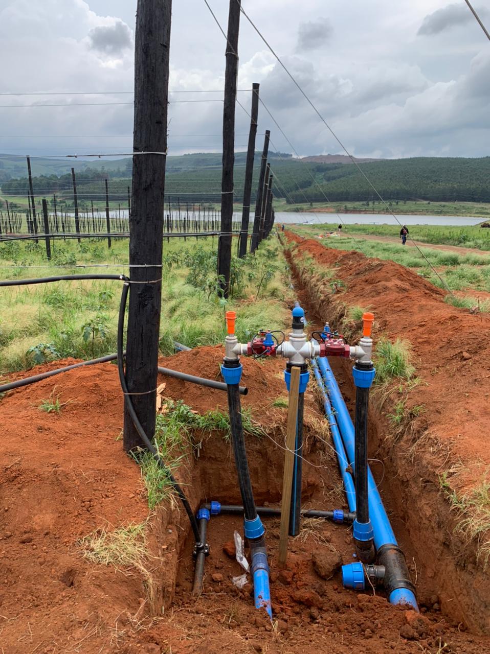 Our Services - Topnet